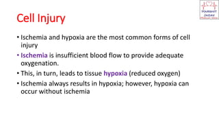 Reversible cell injury I Pathology | PPTX