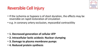 Reversible cell injury I Pathology | PPTX