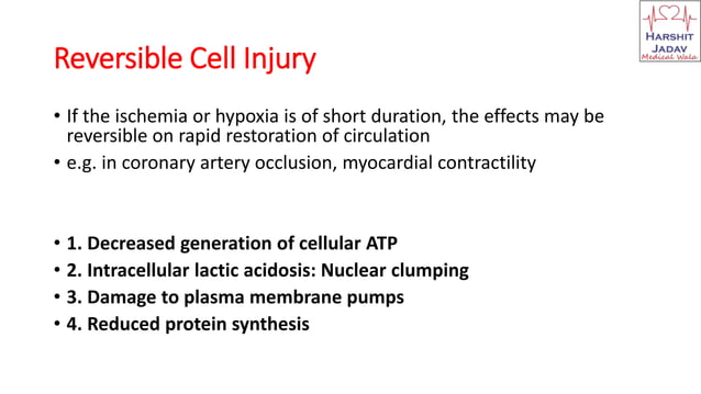 Reversible cell injury I Pathology | PPTX | Lung and Respiratory Health ...