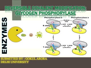 Covalent Regulation