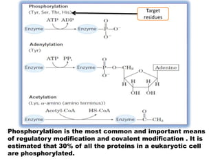 Covalent Regulation