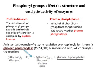 Covalent Regulation