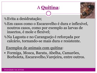 Revestimento Do Corpo Dos Animais | PPTX