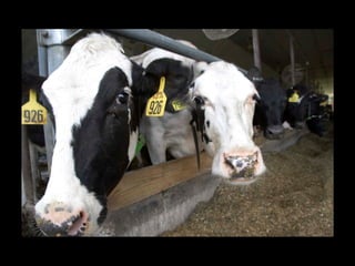 Revette Agricultural | PDF