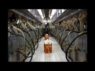 Revette Agricultural | PDF