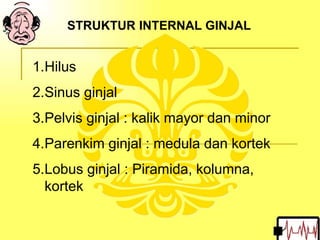 ANATOMI FISIOLOGI SISTEM PERKEMIHAN.ppt