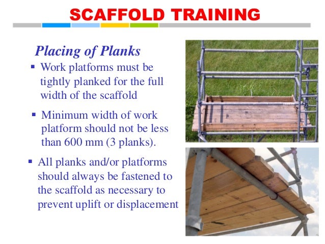 Eta Scaffold Training