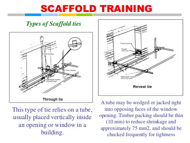 Eta Scaffold Training