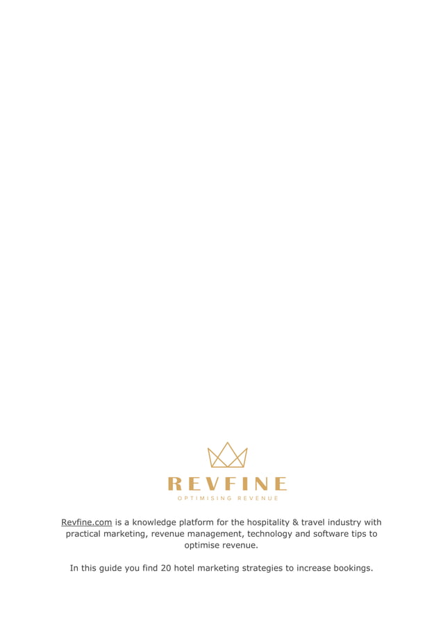 Revfine-Marketing Strategies.pdf
