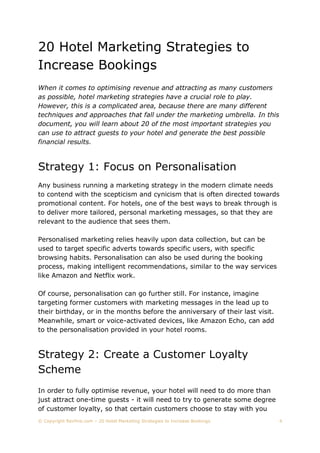 Revfine-Marketing Strategies.pdf