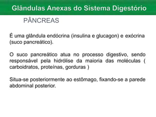 Reviao anatomia gastrointestinal.pptx