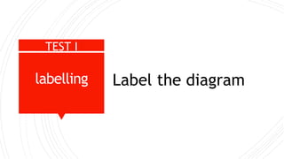 review-grade-11-3rd-quarter.pptx