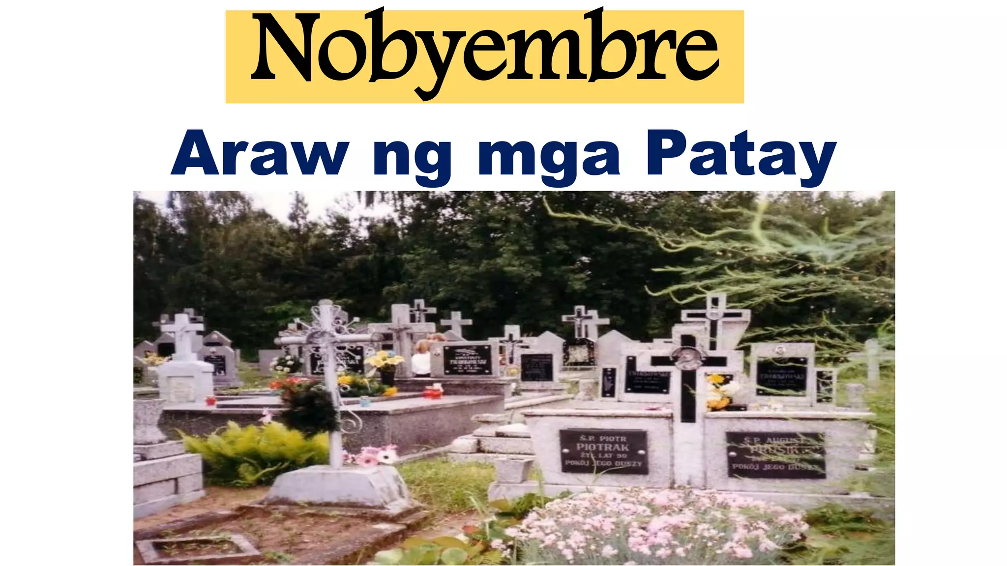 mga buwan sa isang taon | PPTX