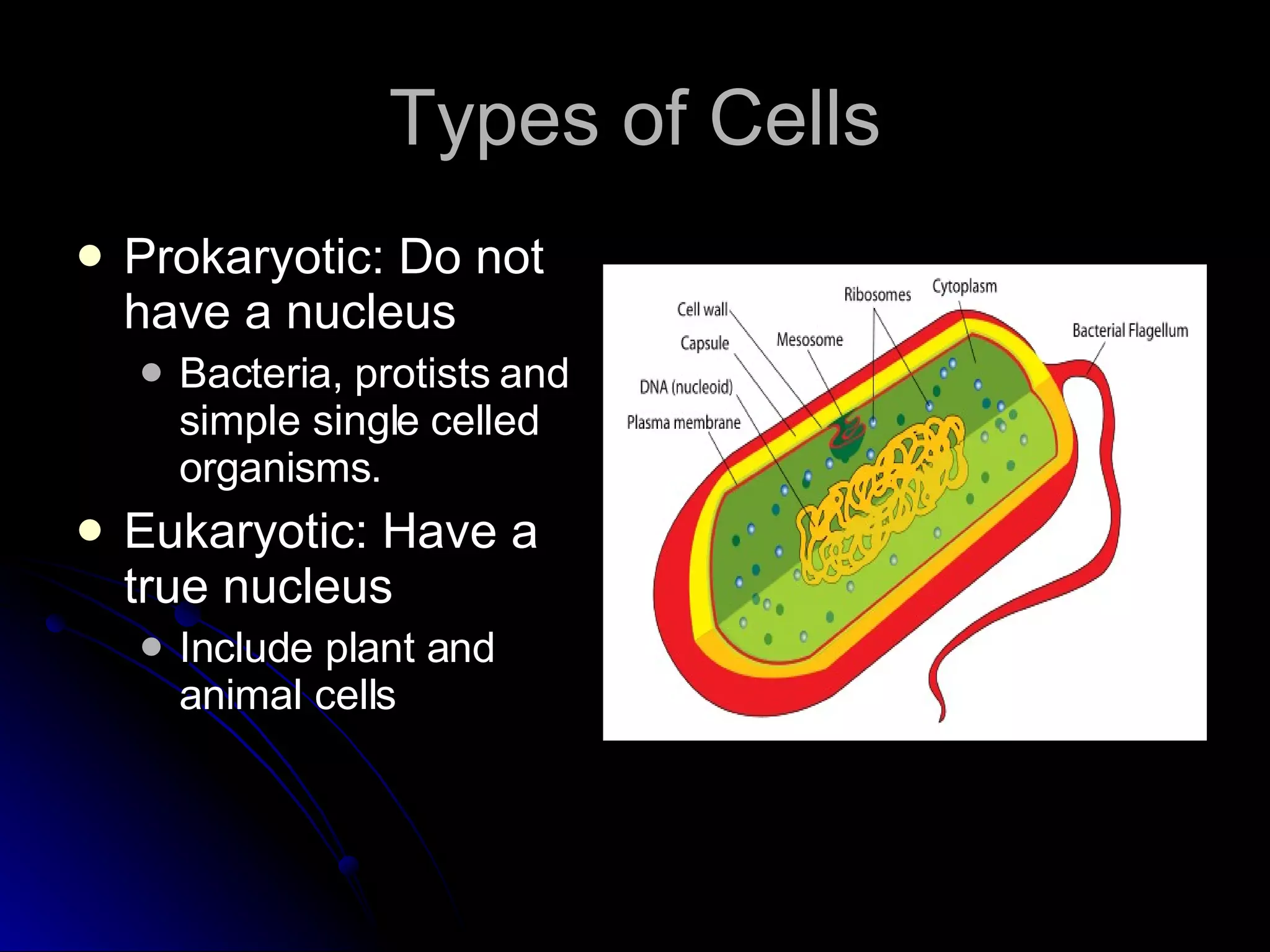 Review Of Cells | PPT