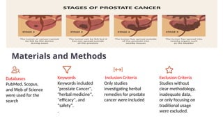 Review-of-Herbal-Drugs-Used-In-The-Treatment-of-Prostate-Cancer.pptx