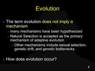 Review organic evolution | PPTX