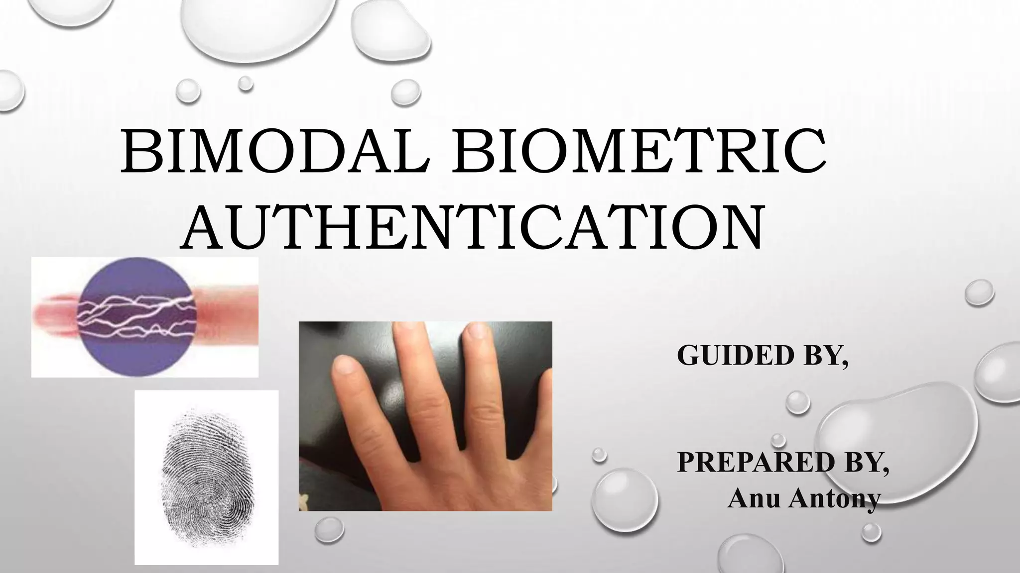 Bimodal Biometric Authentication Ppt