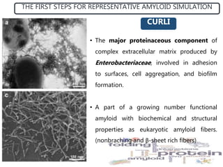 review for advanced biochemistry course | PPTX