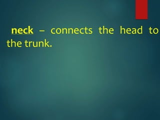 PARTS OF THE BODY- MAPEH 1 | PPTX