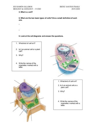 Review1 living beings | DOC