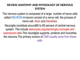 REVIEW ANATOMY AND PHYSIOLOGY OF NERVOUS SYSTEM.pptx