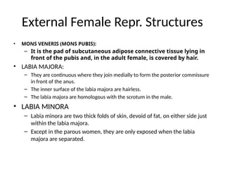 Review Anatomy and Physiology of Reproductive system.pptx | Menopause ...