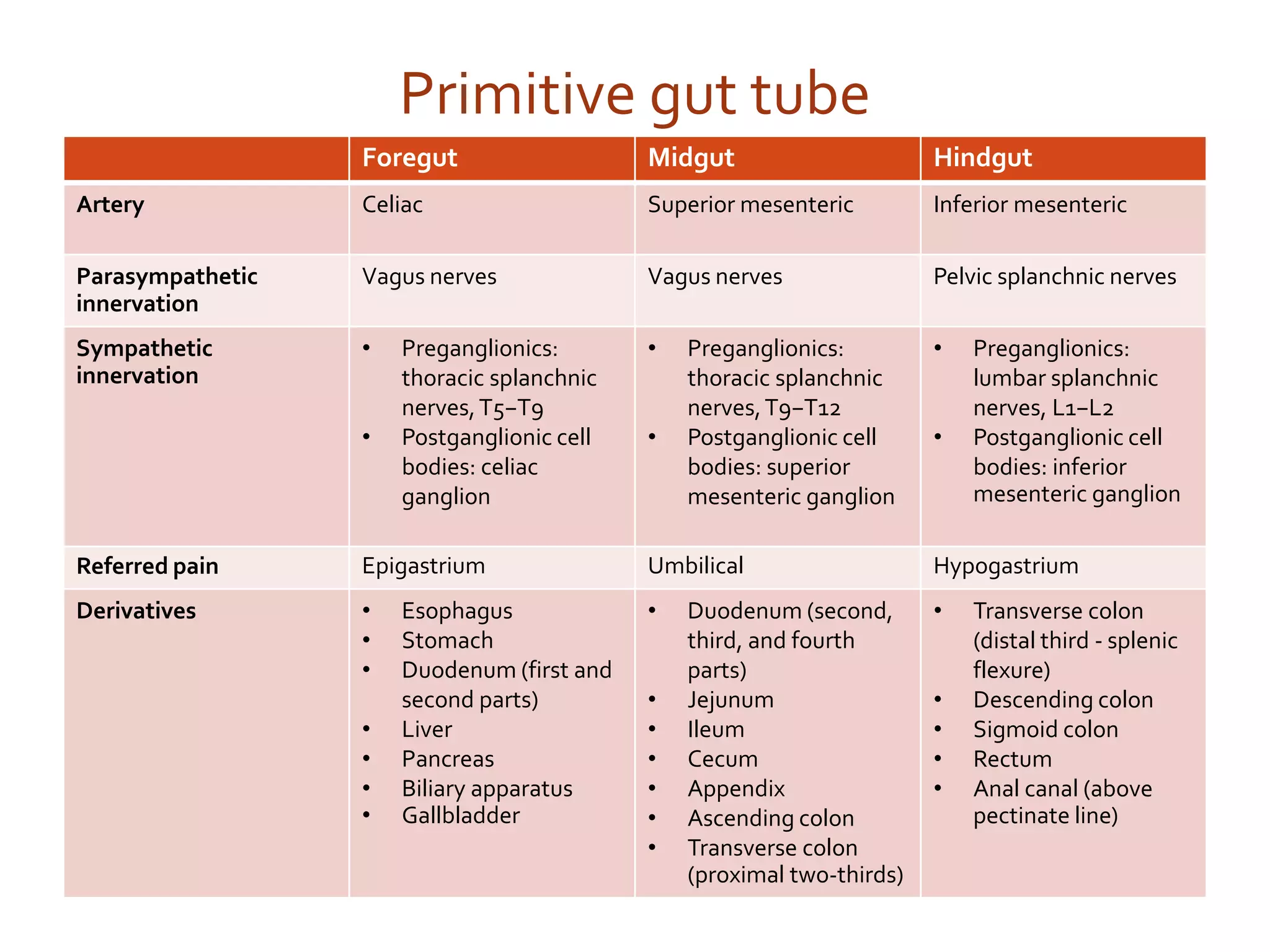 USMLE step 1 Review Anatomy of Gastrointestinal System 2018 | PDF