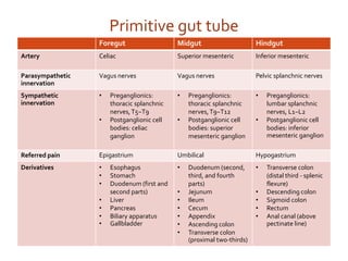 USMLE step 1 Review Anatomy of Gastrointestinal System 2018 | PDF