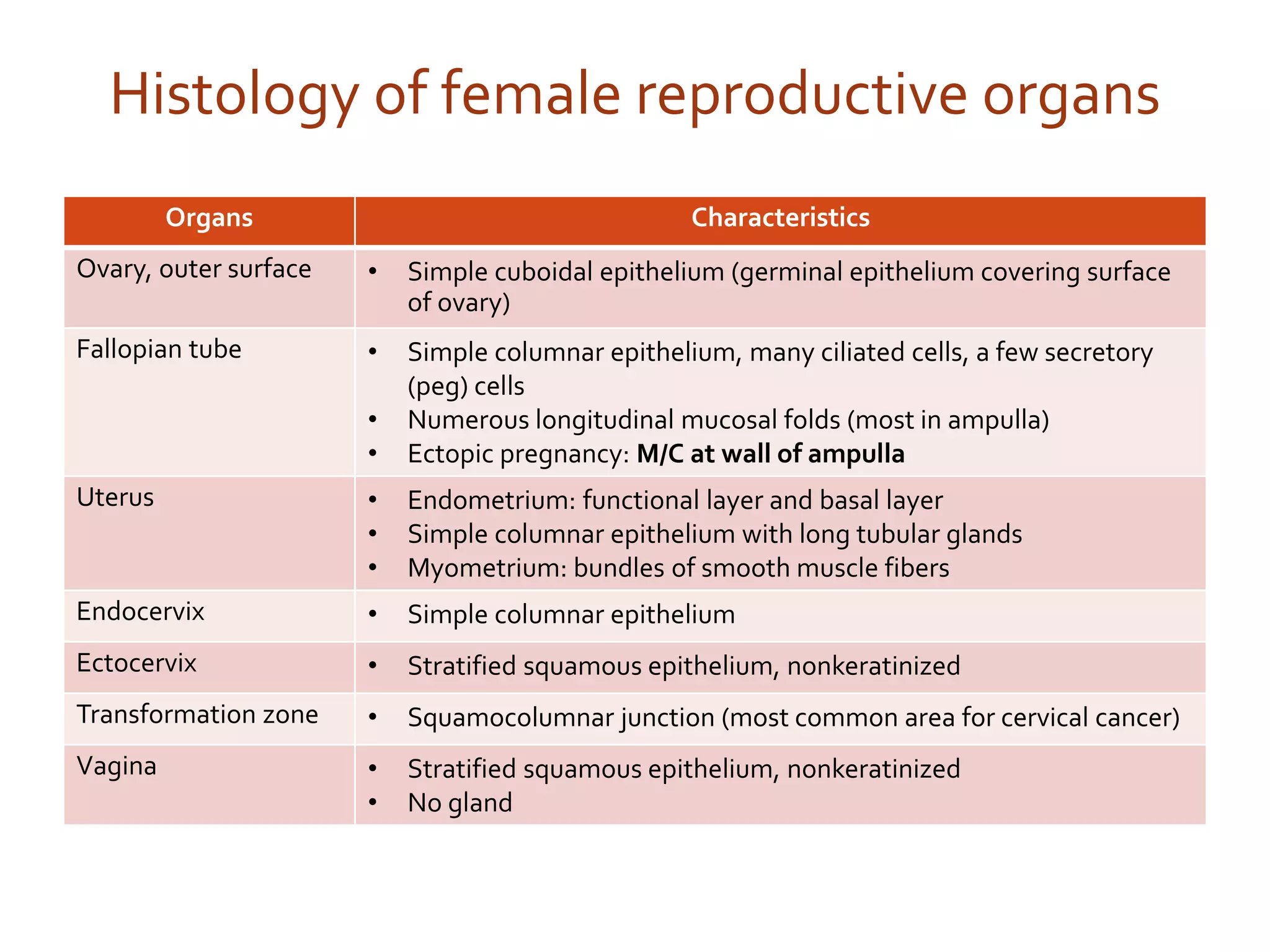 USMLE step 1 Review Anatomy of Reproductive System 2018 | PDF