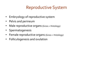USMLE step 1 Review Anatomy of Reproductive System 2018 | PDF