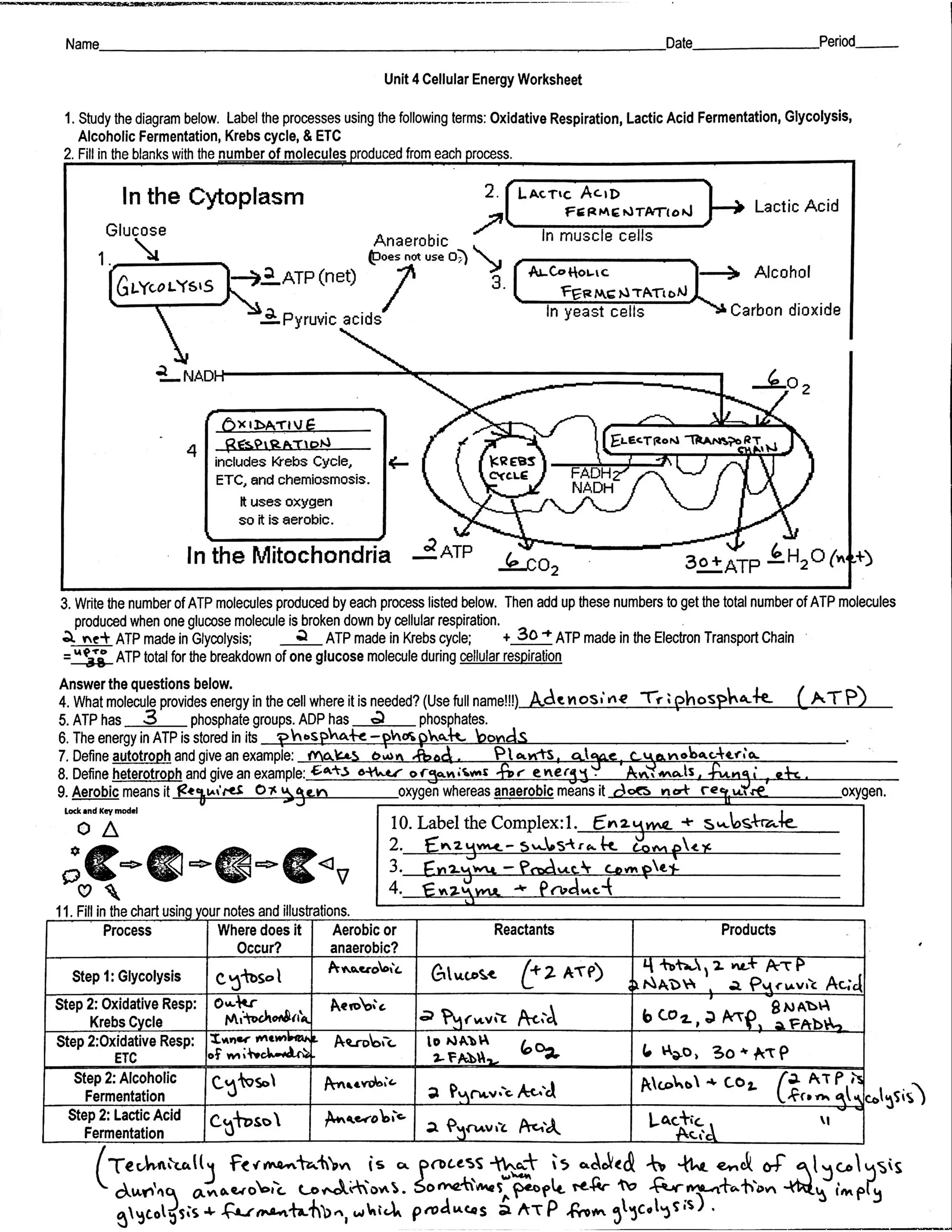 review and ftb lab key.pdf