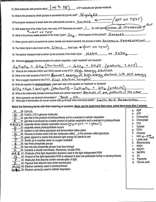 review and ftb lab key.pdf