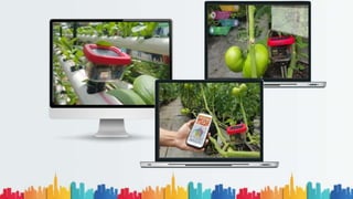 Review aplikasi habibi garden | PPTX