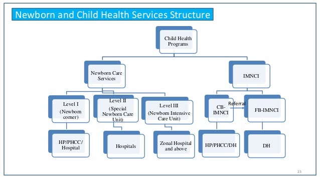 Review & Critical Appraisal of Newborn Health Programs_DRHN.pptx