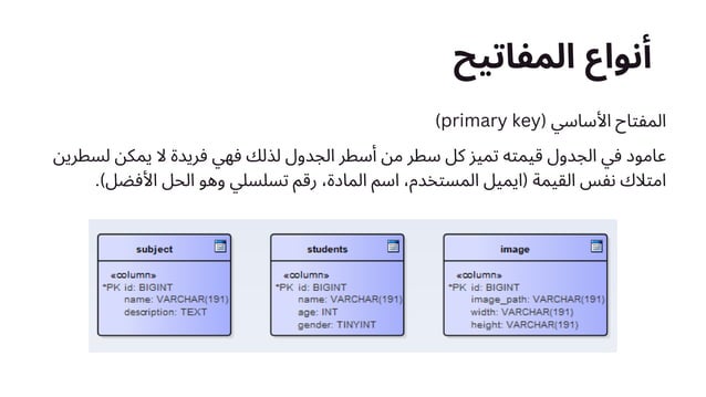 Review Basic Database Design Concepts For Beginners Ppt