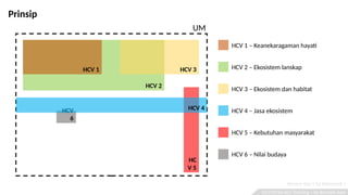 Pengantar HCV dan HCS. Tata cara penyusunan dokumen HCV-HCS | PPTX