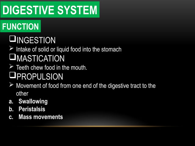 REVIEW_DIGESTIVE-SYSTEM-DIGESTIVE SYSTEM | PPTX