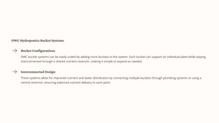 A Complete Guide to Starter and Advanced Kits for DWC Hydroponic ...