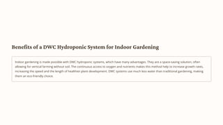 A Complete Guide to Starter and Advanced Kits for DWC Hydroponic ...