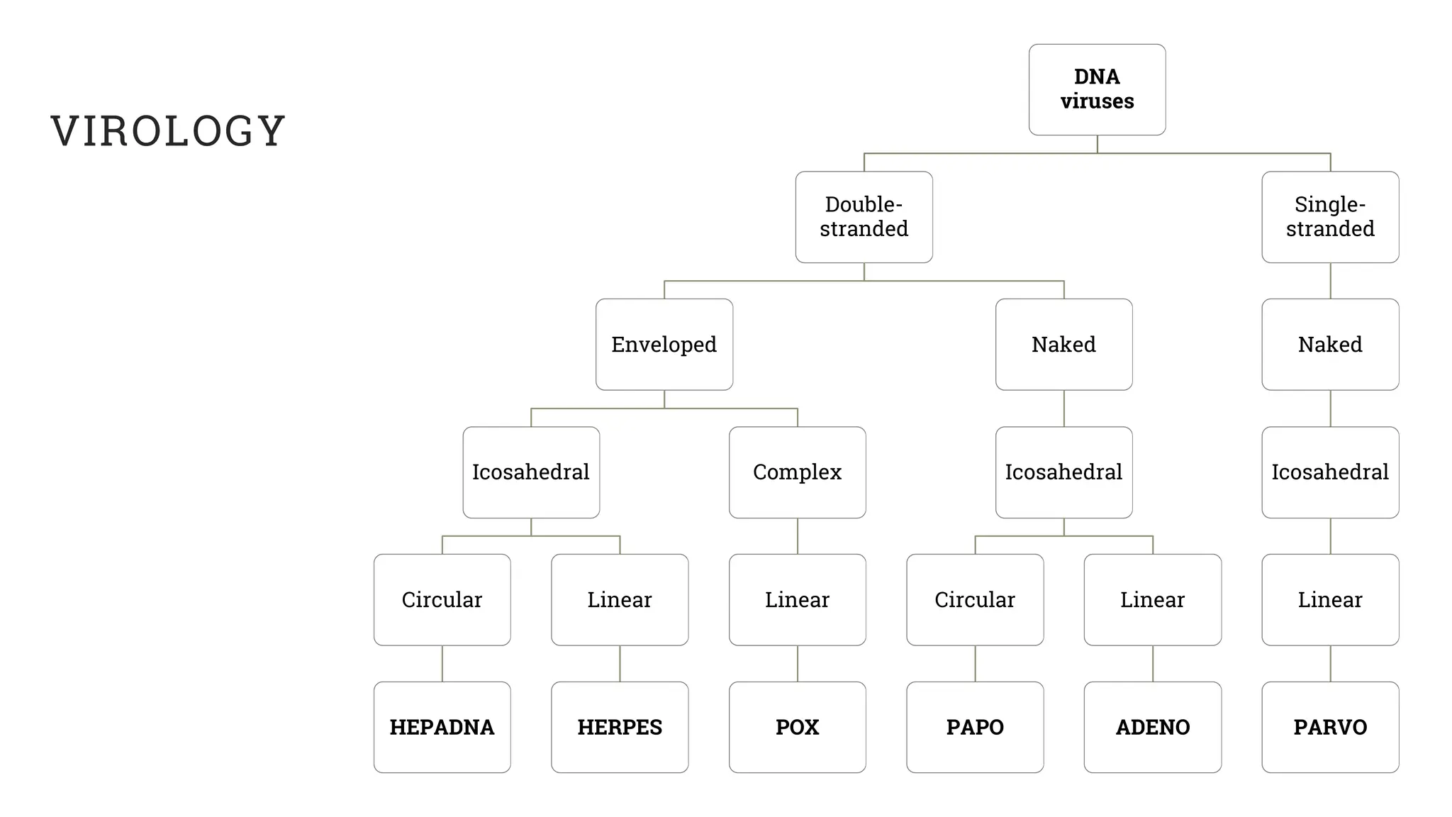 [REVIEWER] Clinical Pathology Lecture.pdf