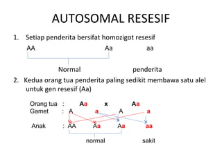 Review genetika s1 b | PPT