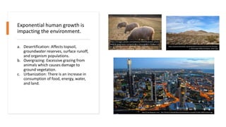 Review human impact on the earth | PPT