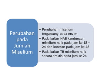 Kecepatan Produksi Enzim dan Pertumbuhan Miselium pada Solid State ...