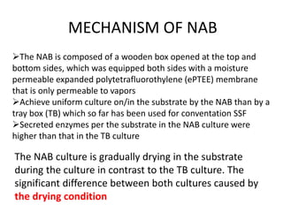 Review Jurnal Solid-State Fermentation Teknik NAB | PPTX