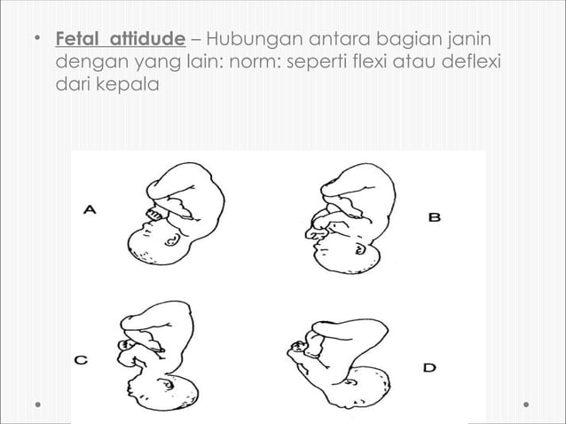 Review kehamilan dan persalinan normal.ppt