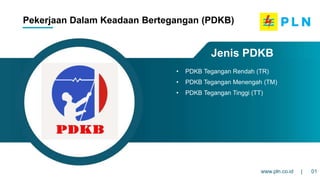 REVIEW KINERJA PDKB TAHUN 2021.pptx
