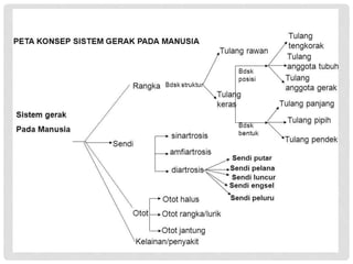 Review Materi UN IPA SMP Struktur dan Fungsi Makhluk Hidup | PPT