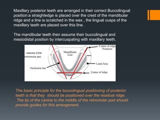 Review Occlusion -Refresher.pdf