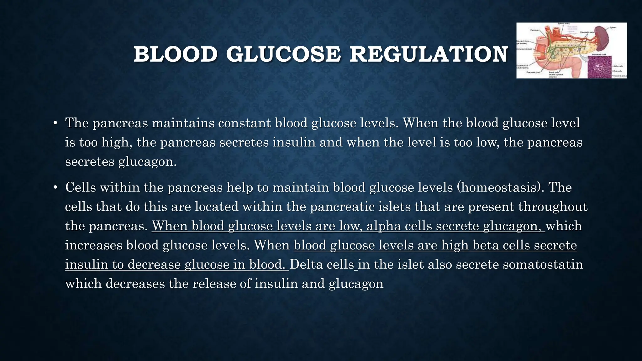 Review of anatomy and physiology of endocrine system.pptx