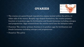 Review of anatomy and physiology of endocrine system.pptx